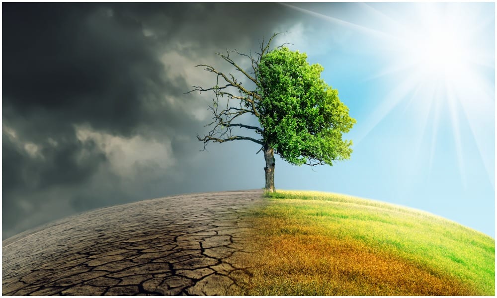 The First State to Inculcate Climate Studies in Schools – DirectSharing